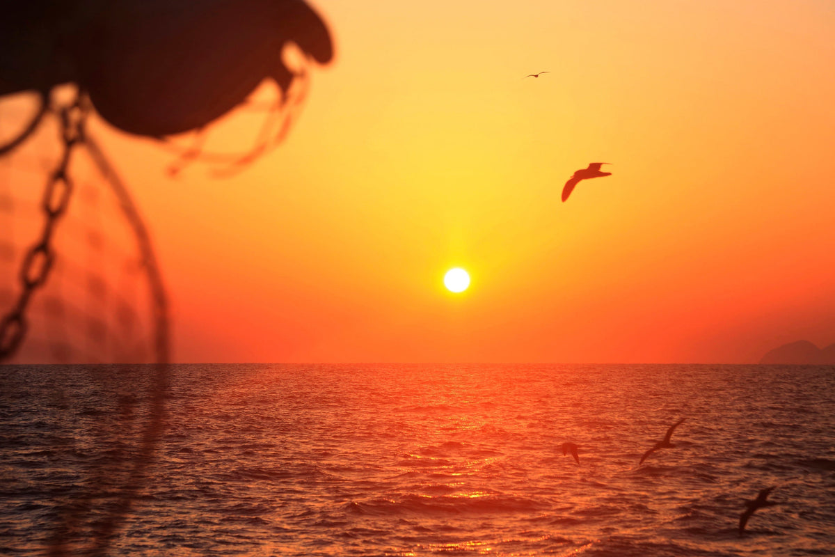 Acme Honors Our Oceans - Acme Smoked Fish