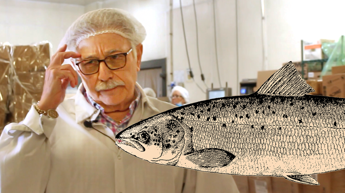 What Is Nova Smoked Salmon? - Acme Smoked Fish